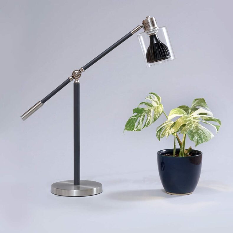 7 Best Desk Lamp for Plants 2023 - Review and Buying Guide